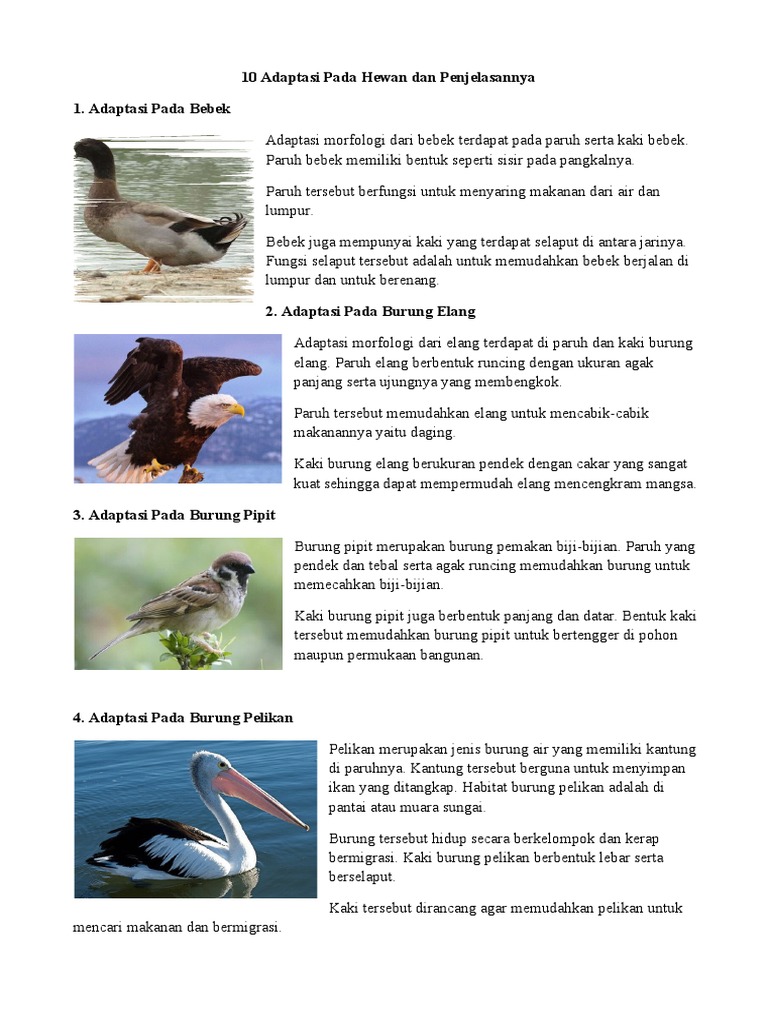 10 Adaptasi Morfologi Pada Hewan Dan Penjelasannya | PDF