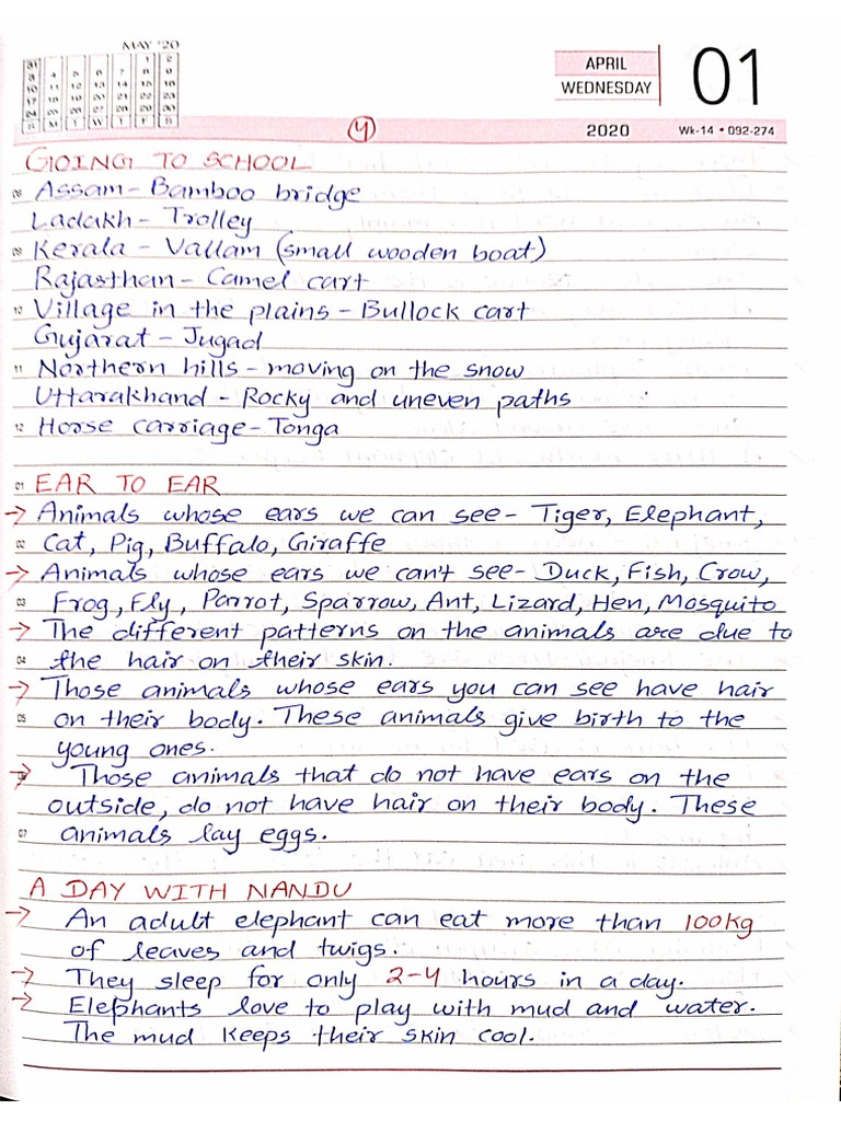 Evs Notes in English Handwritten | PDF