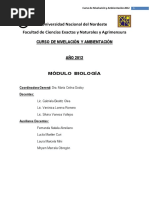 UNIDAD CyT PRIMER GRADO | PDF | Enseñando | Entorno natural