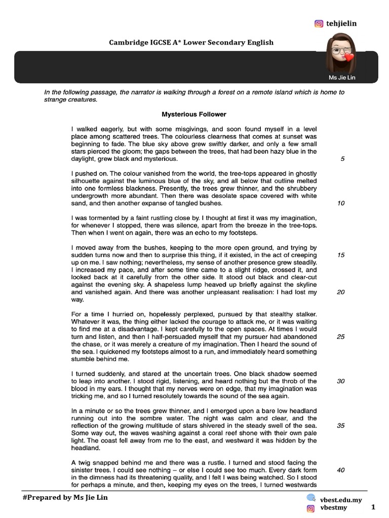 Mysterious Follower | PDF