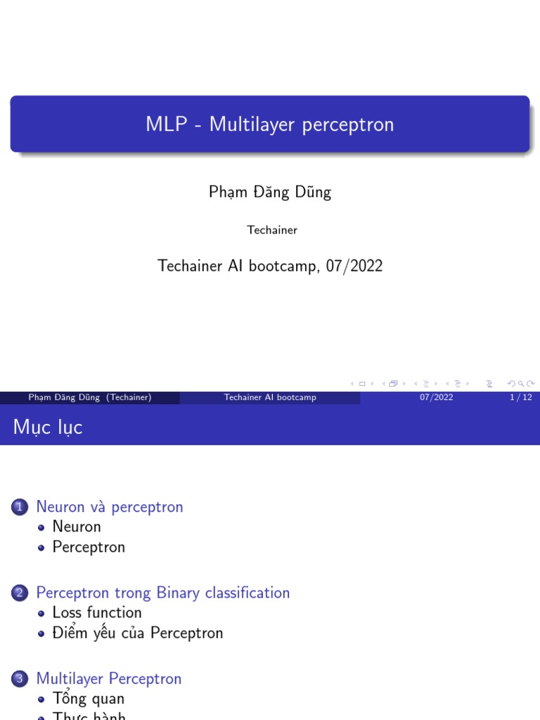 MLP Slide | PDF