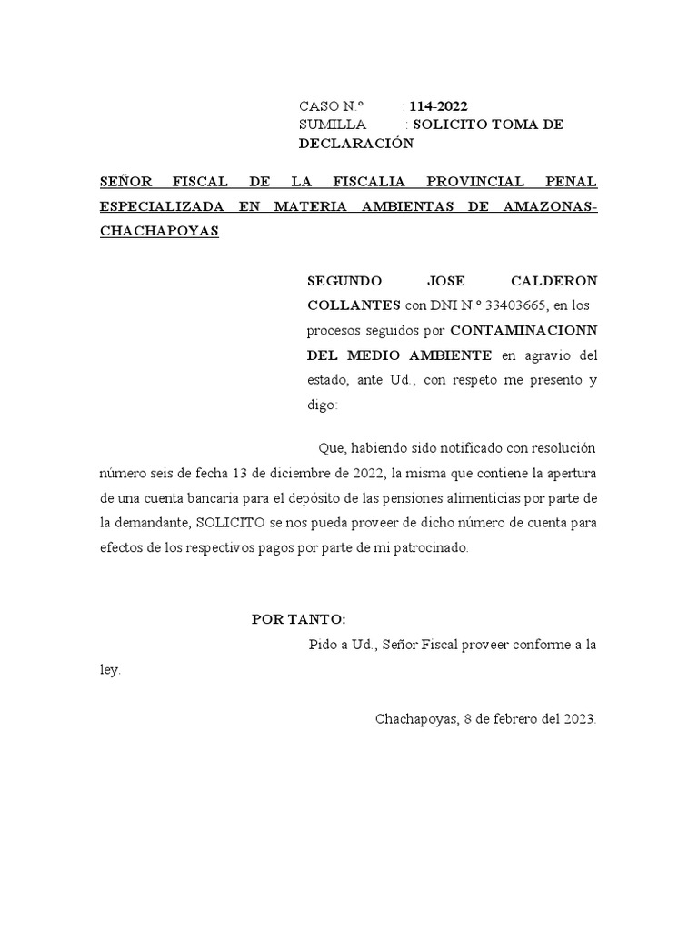 Solicito Toma de Declaración | PDF