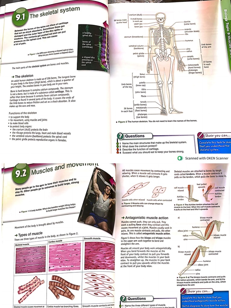 Biology Class 9 - Oxford | PDF