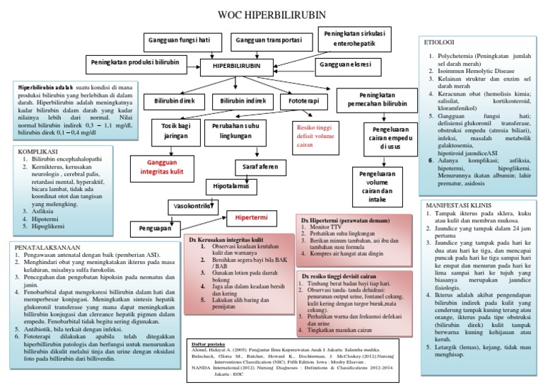 Woc Hiperbilirubin | PDF