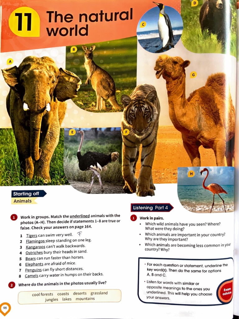 PET Unit 11 and 12 | PDF | Adverb | Linguistics