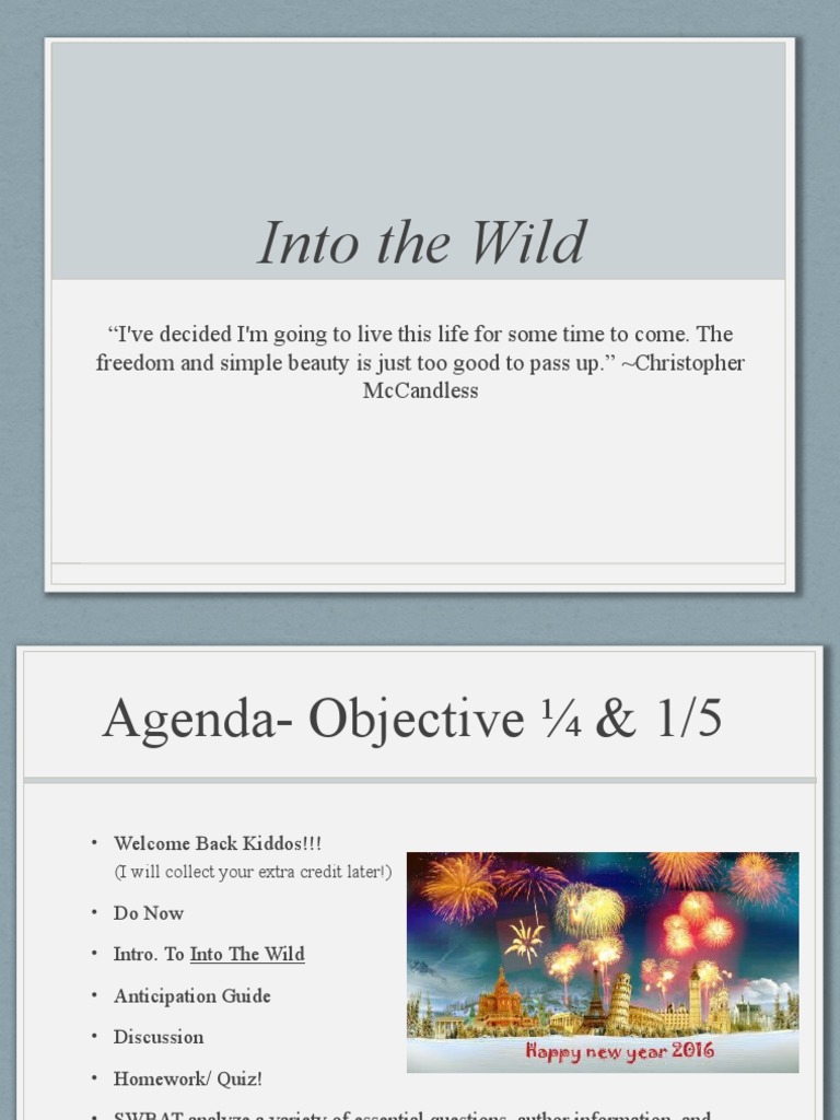 Exploring Freedom in Into the Wild | PDF | General Fiction