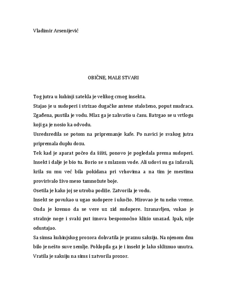 Vladimir Arsenijevic - Obicne Male Stvari | PDF