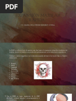 Monstruos DND Pico Aguja Helad | PDF