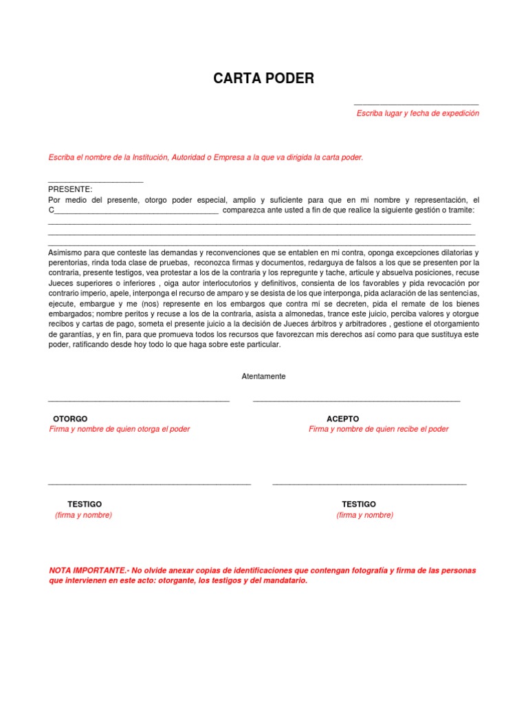 Carta poder para representación legal en trámite judicial | PDF ...