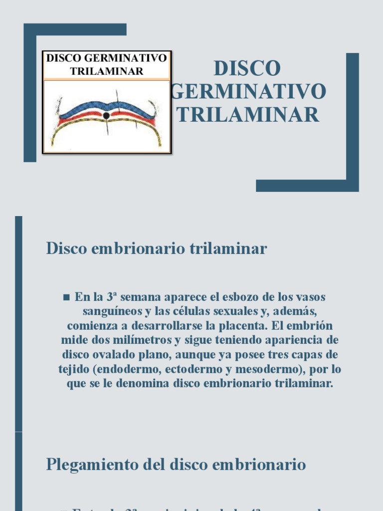 Desarrollo del Disco Germinal Trilaminar | PDF | Embrión | Morfología ...