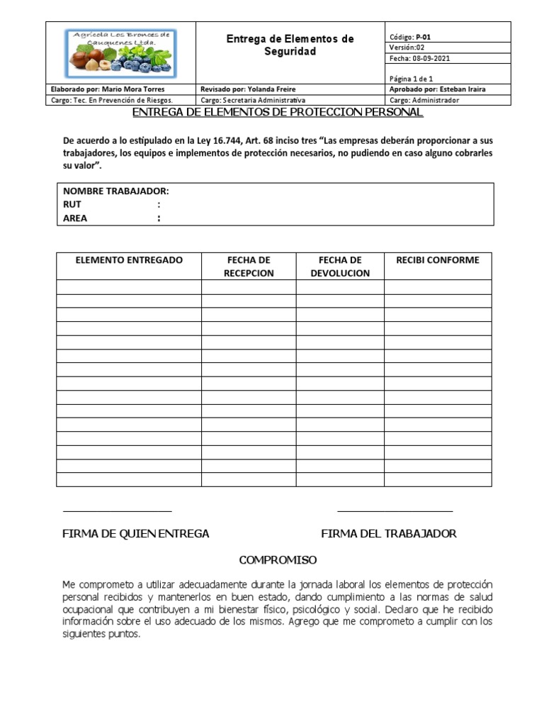 Formato de Entrega de Epp | PDF