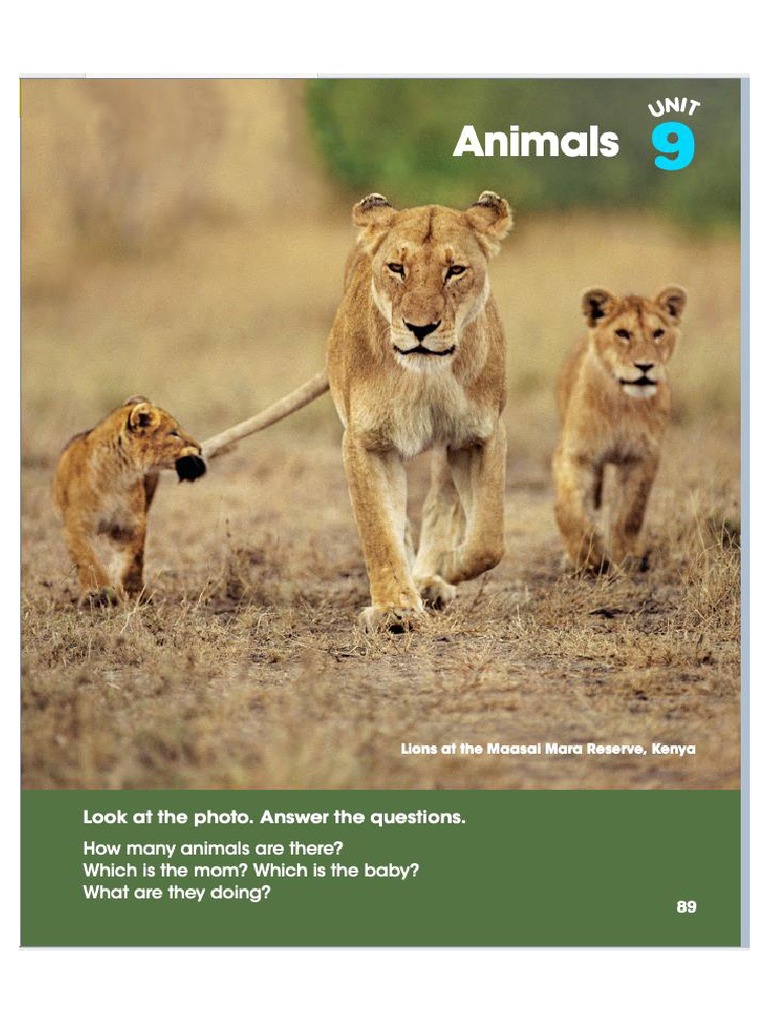 Nat Geo Look 2 Unit 9 | PDF