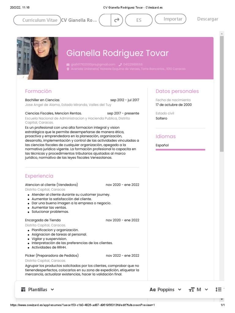 CV Gianella Rodriguez Tovar - CV 1 | PDF | Economias | Business