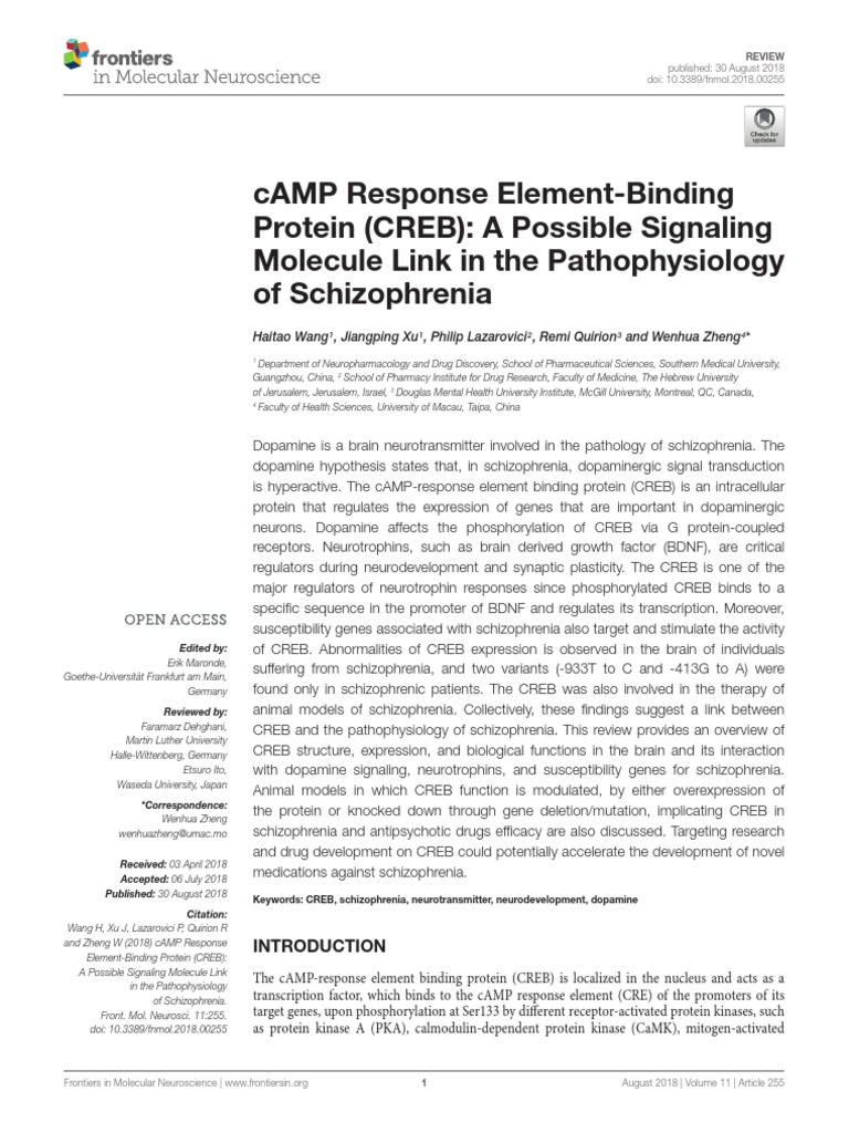 CAMP Response Element-Binding Protein (CREB) A Possible Signaling Molecule Link in The ...