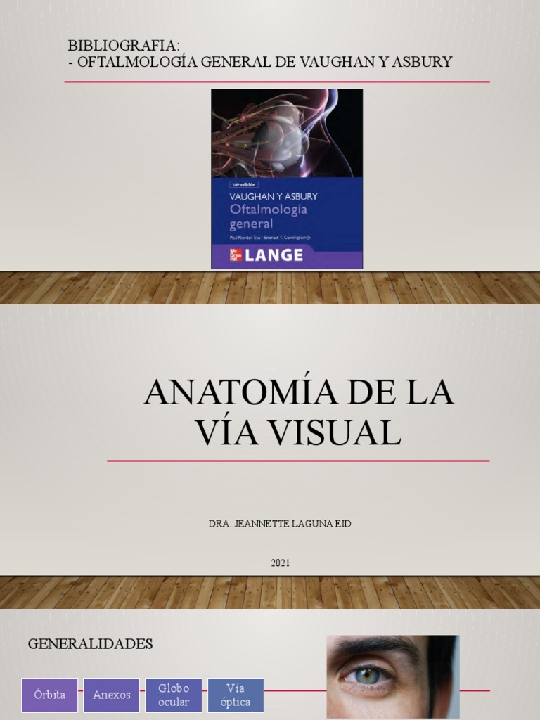 Anatomía y Embriología de La Vía Visual | Descargar gratis PDF | Córnea ...