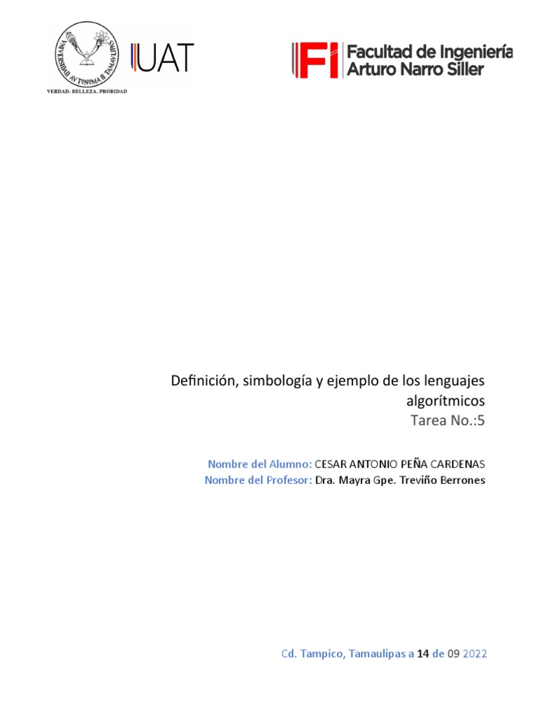 Lenguajes Algorítmicos: Definición y Ejemplos | PDF | Lenguaje de programación | Java (lenguaje ...
