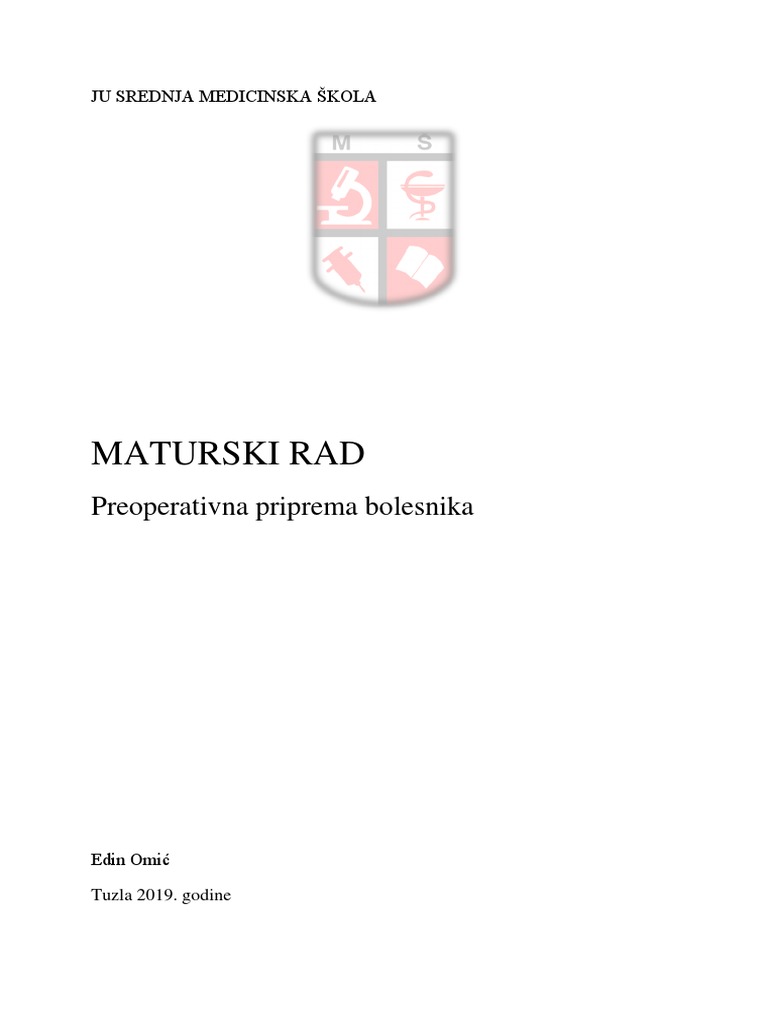 Edin Omić Maturski Rad | PDF