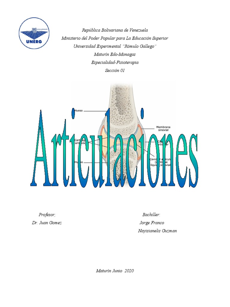 ARTICULACIONES | PDF