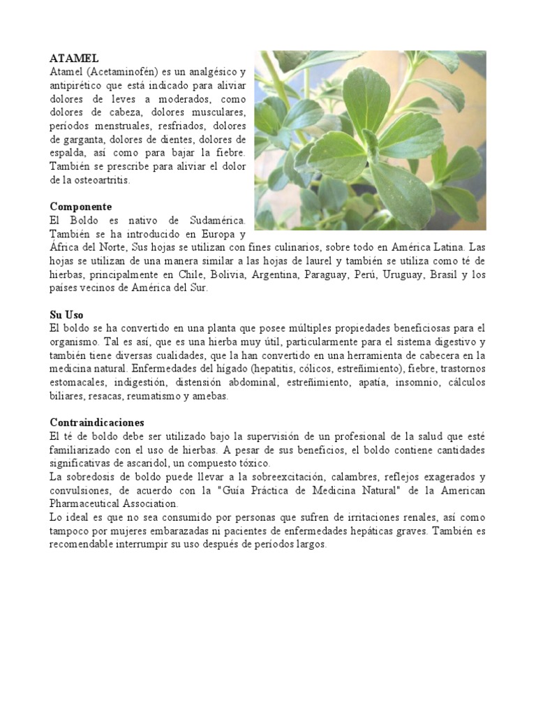 ATAMEL - Investigacion | PDF