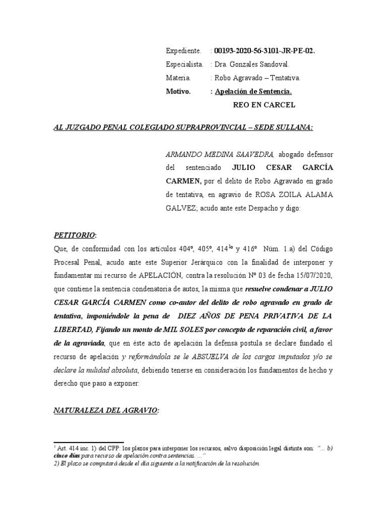 Apelacion de Sentencia | PDF | Apelación | Sentencia (ley)