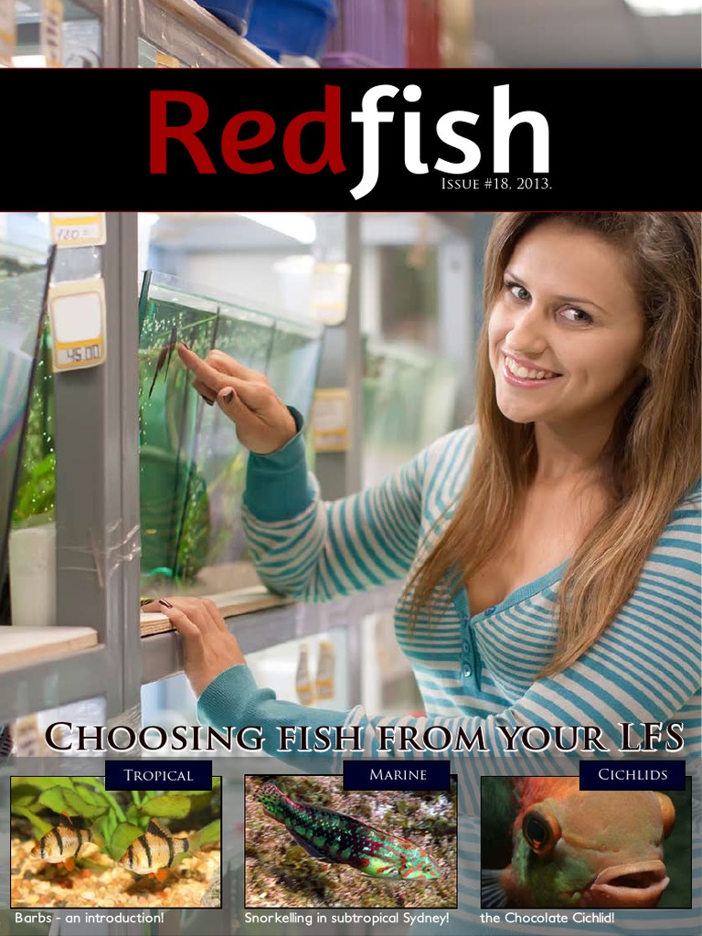 Redfish Magazine Issue 18 Au | PDF | Aquarium | Aquatic Animals