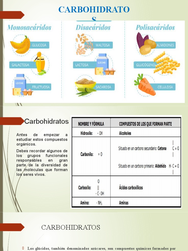 Estructura y Tipos de Carbohidratos | PDF | Carbohidratos | Glucosa