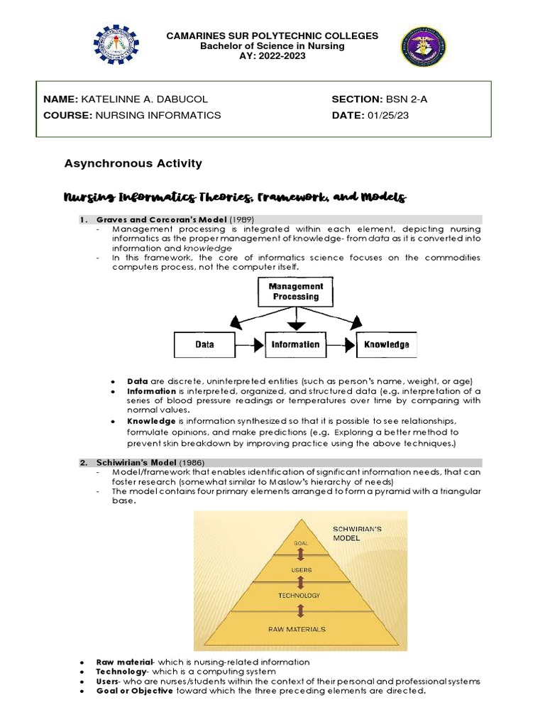 Dabucol Nursing Informatics Ni Theories Model Framework Pdf Medical