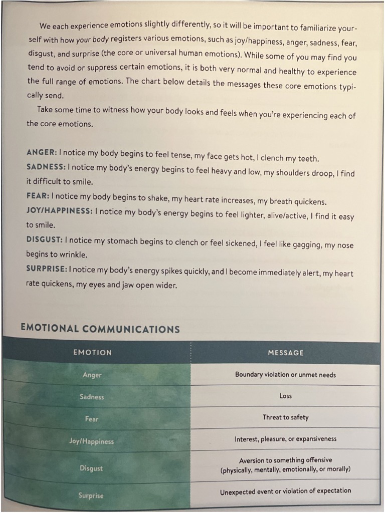 Identifying Emotions | PDF