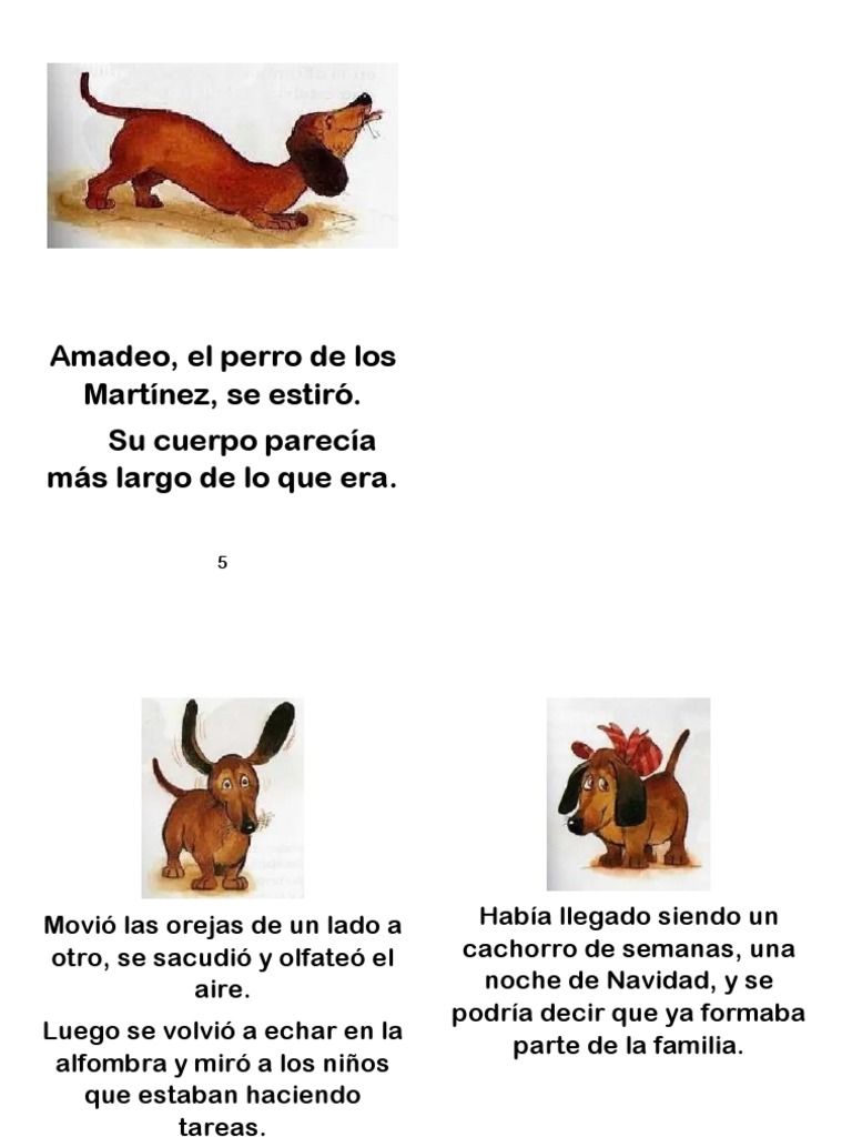 Un Perro Confundido 100% | PDF | Pancho