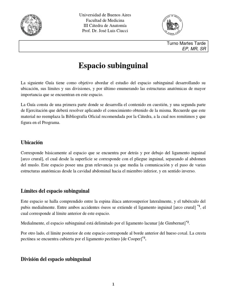 Espacio Subinguinal | PDF