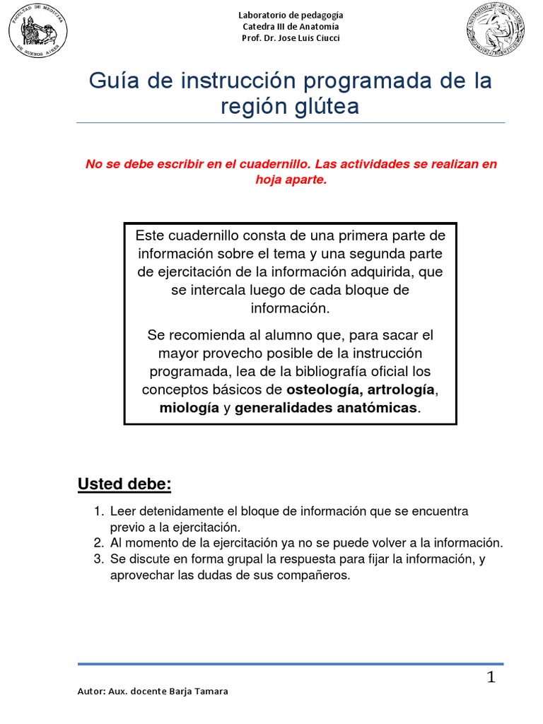 Guía de Anatomía de la Región Glútea | PDF | Nalgas | Sistema ...