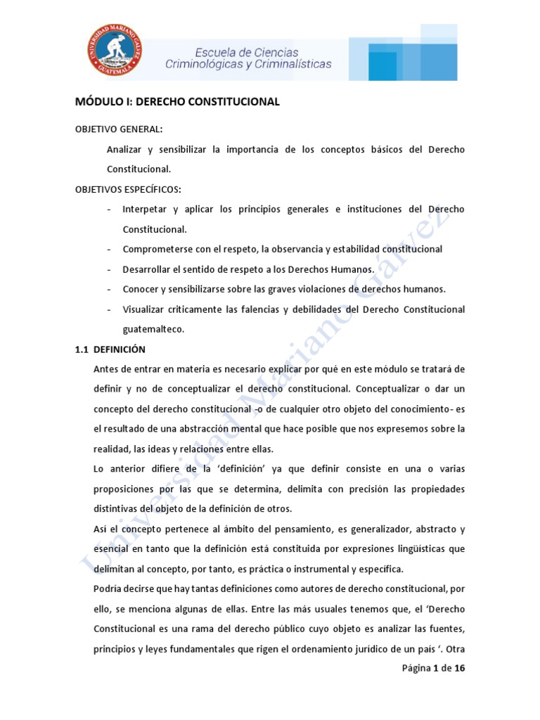 Definición y Principios del Derecho Constitucional | PDF | Constitución ...