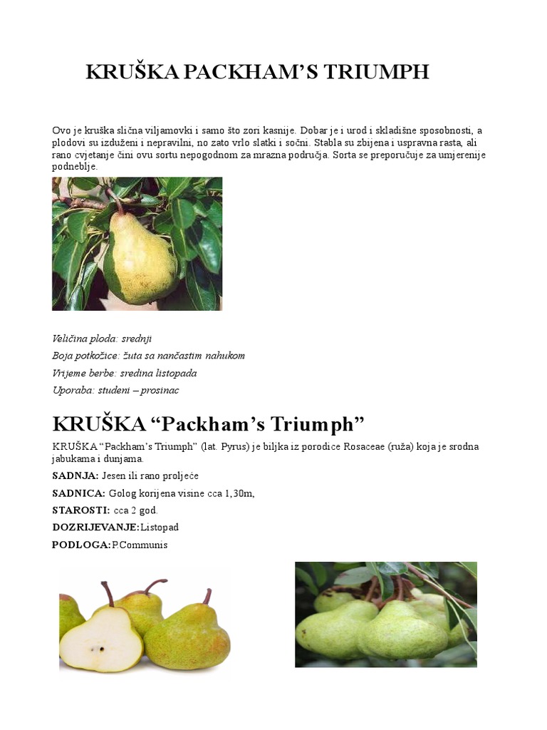 Kruška Packham's Triumph-Pakmanova | PDF
