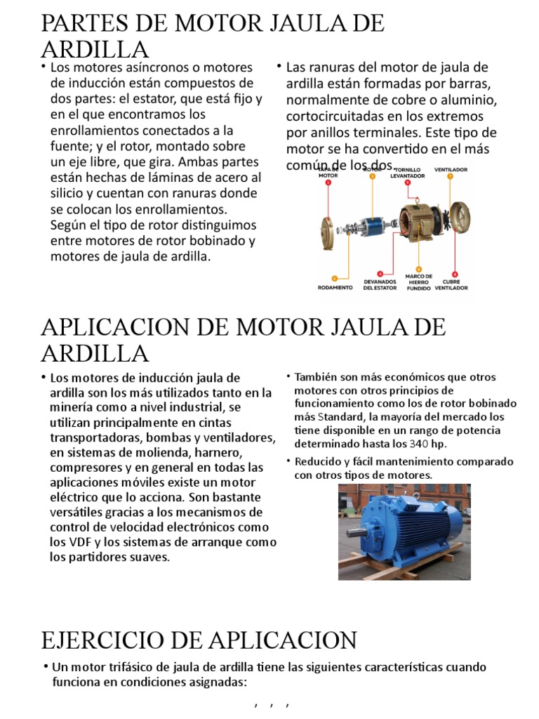 Motor Jaula de Ardilla - Diego | PDF | Motor eléctrico | Ingenieria Eléctrica