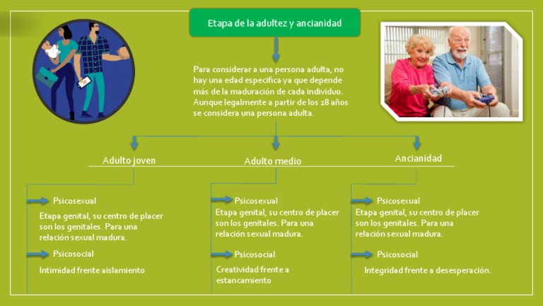 Las etapas de la adultez y la ancianidad: un análisis psicosexual y psicosocial | PDF