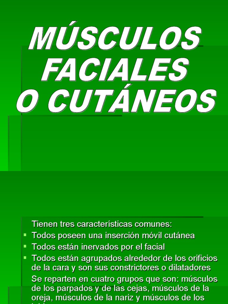 Músculos Cutáneos | PDF | Anatomía humana | Cabeza y cuello humanos