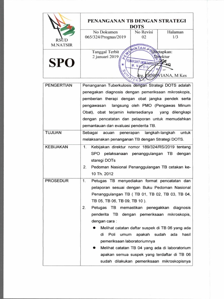 SPO Penanganan TB Dengan Strategi Dots | PDF