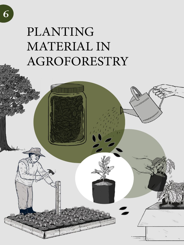 Agroforestry Primer 06 | PDF | Plant Nursery | Seed