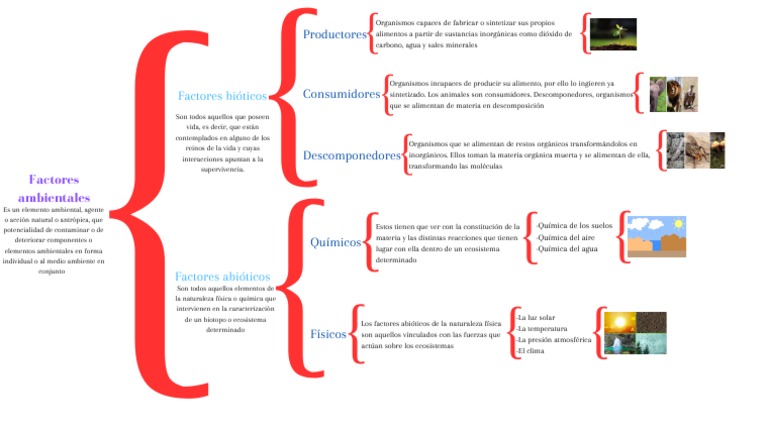 Factores Ambientales | PDF | Entorno natural | Ecosistema