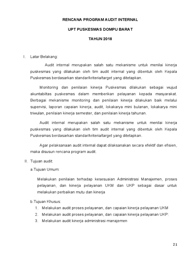 Program Audit Internal | PDF