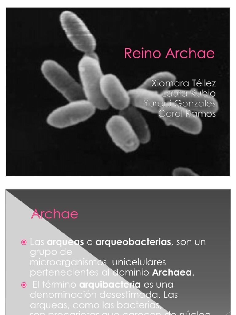 Reino Archae