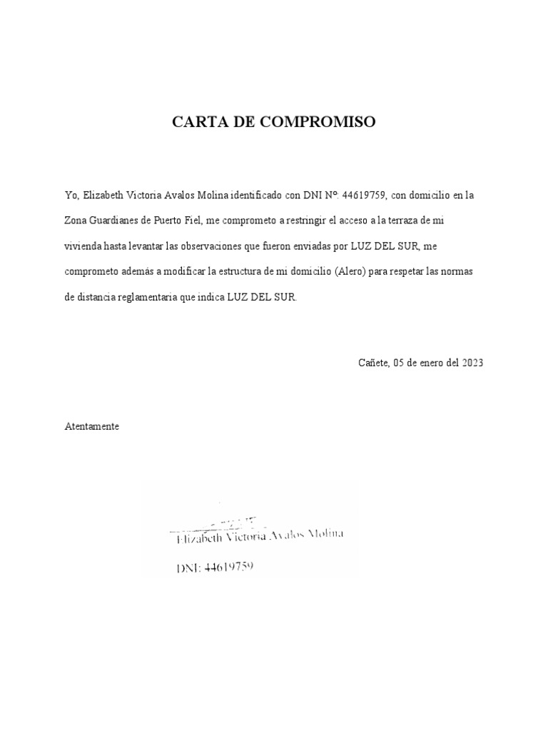 Carta de Compromiso Sra. Elizabeth Avalos | PDF