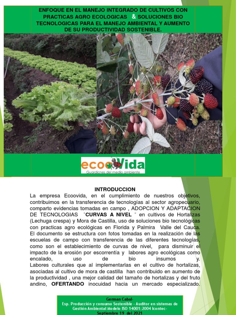 Lechuga Mora Granja Agroecologica Cauchal 2021. | PDF | Agricultura ...