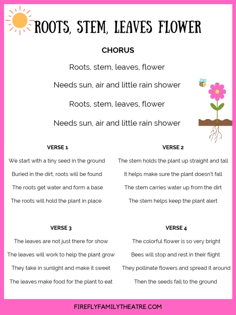 Roots, Stem, Leaves, Flower | PDF