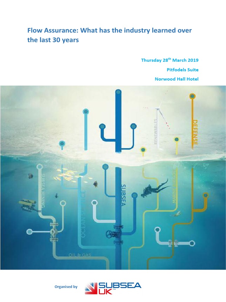 Flow Assurance Programme v15 | PDF | Natural Gas | Simulation