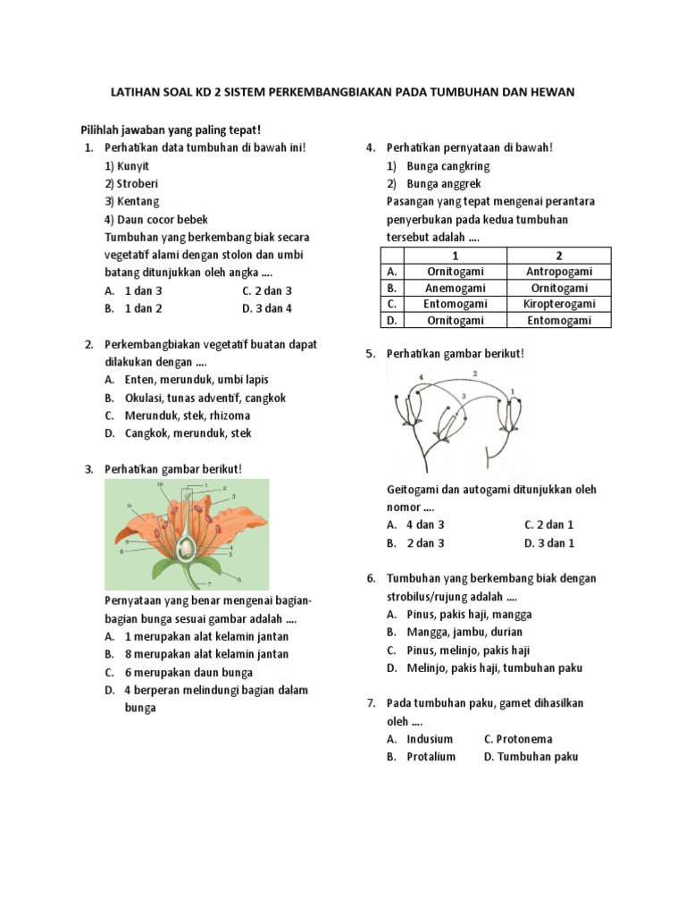 Latihan Soal KD 2 Sistem Perkembangbiakan Pada Tumbuhan Dan Hewan | PDF | Sains & Matematika