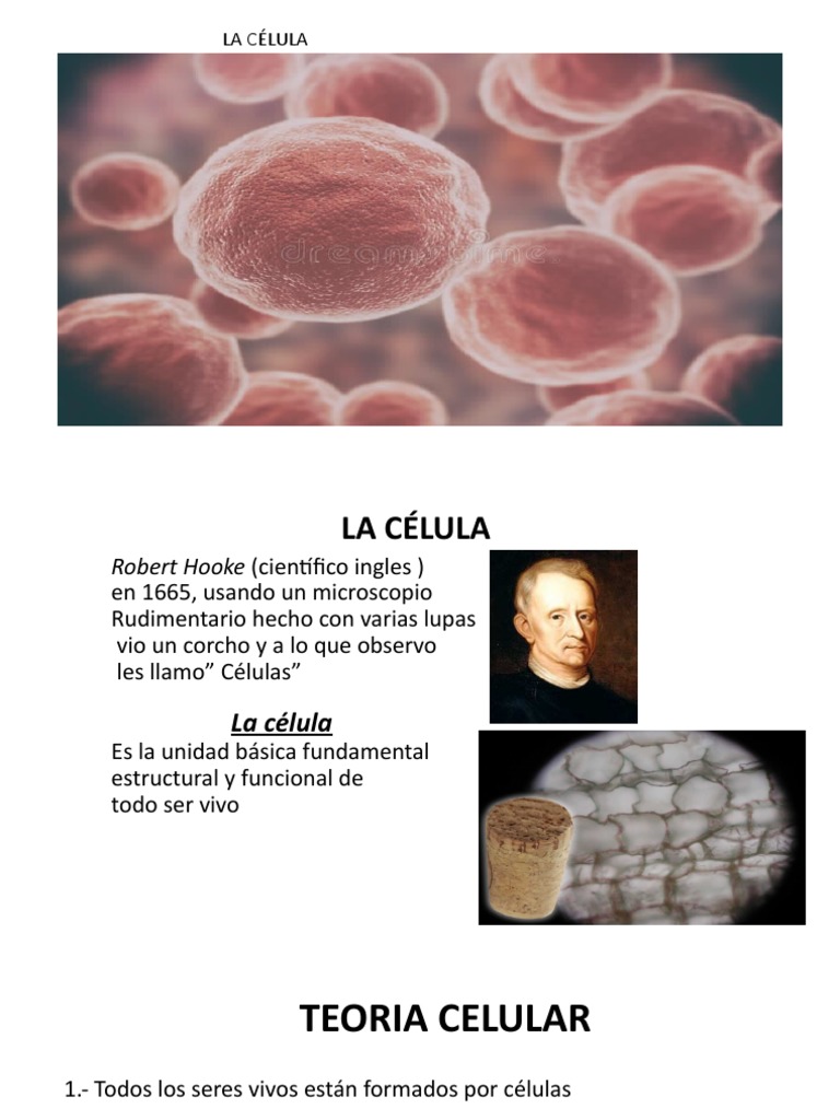 La Célula | PDF
