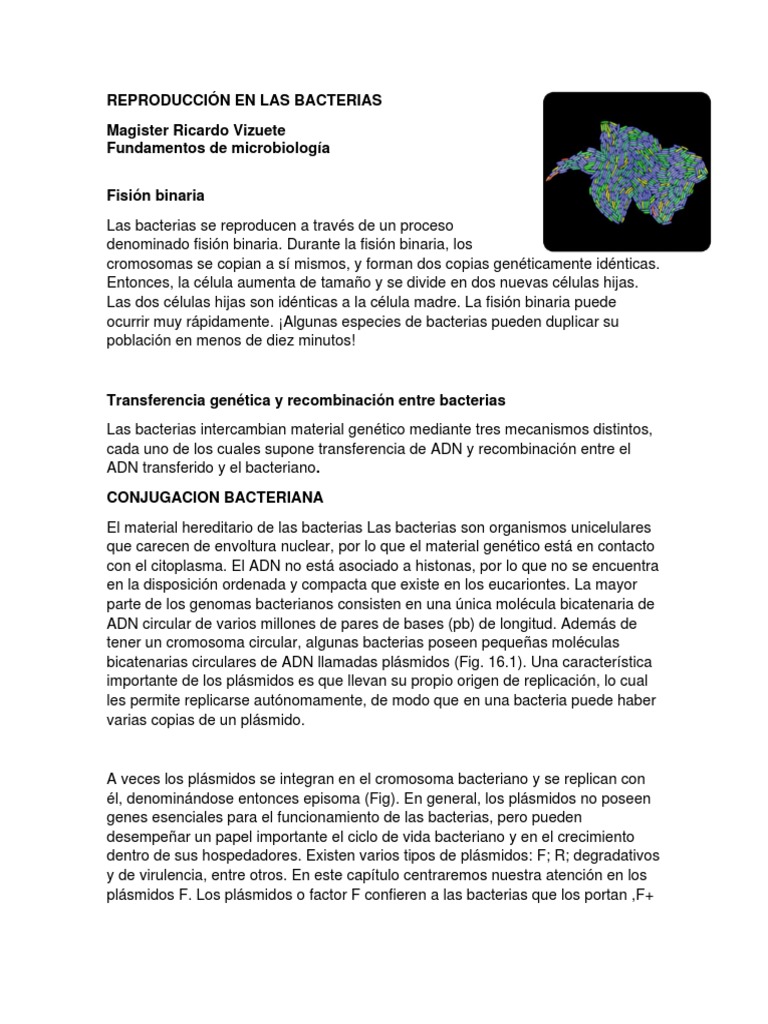 Reproducción en Las Bacterias | PDF | Bacteriófago | Plásmido