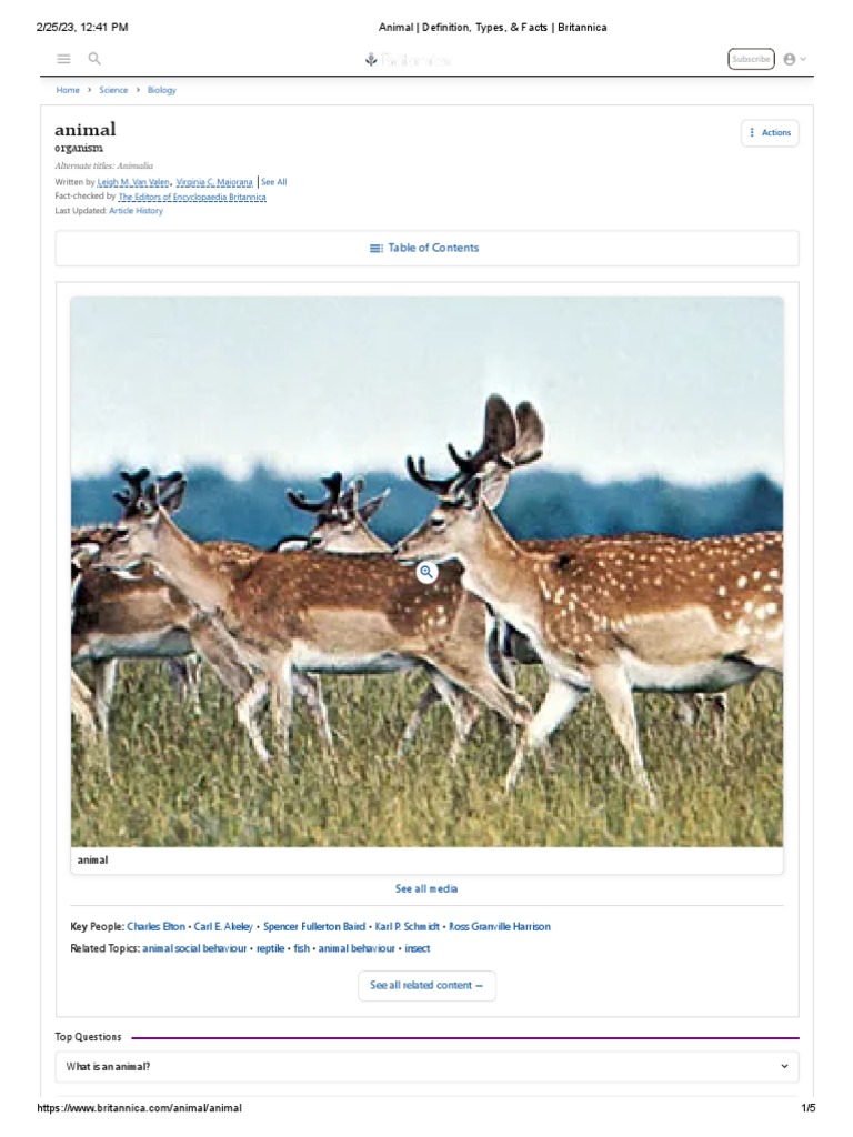 Animal - Definition, Types, & Facts - Britannica | PDF | Cell (Biology ... Animal - Definition, Types, & Facts - Britannica | PDF | Cell (Biology ...