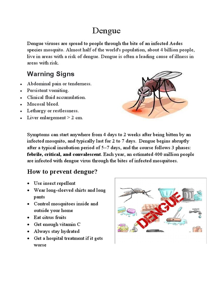 Dengue Ms Word | PDF